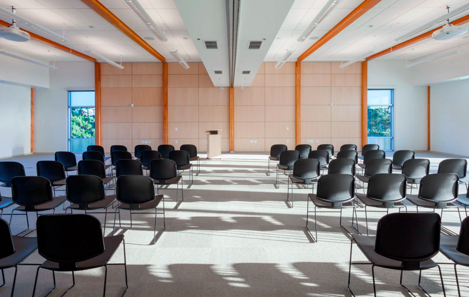 Linea Veneer Flat Panels – Linea Ceiling & Wall Systems Inc.